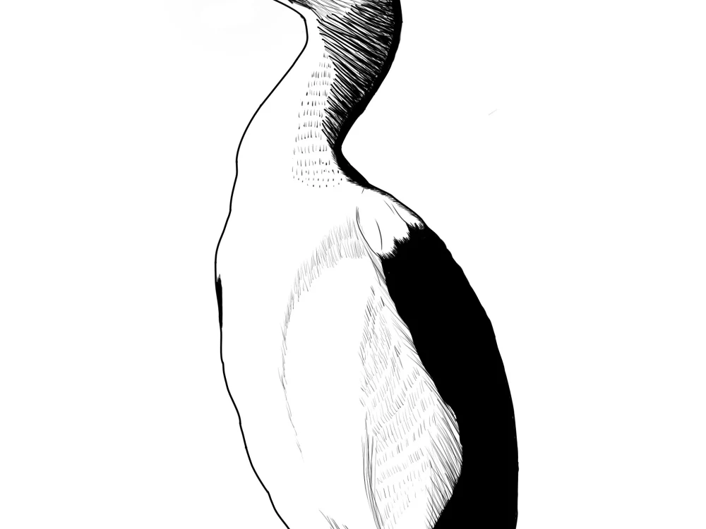 A beautiful line art drawing | Upwork