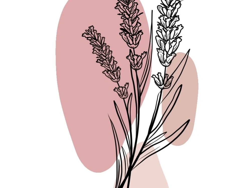 A beautiful line art drawing | Upwork