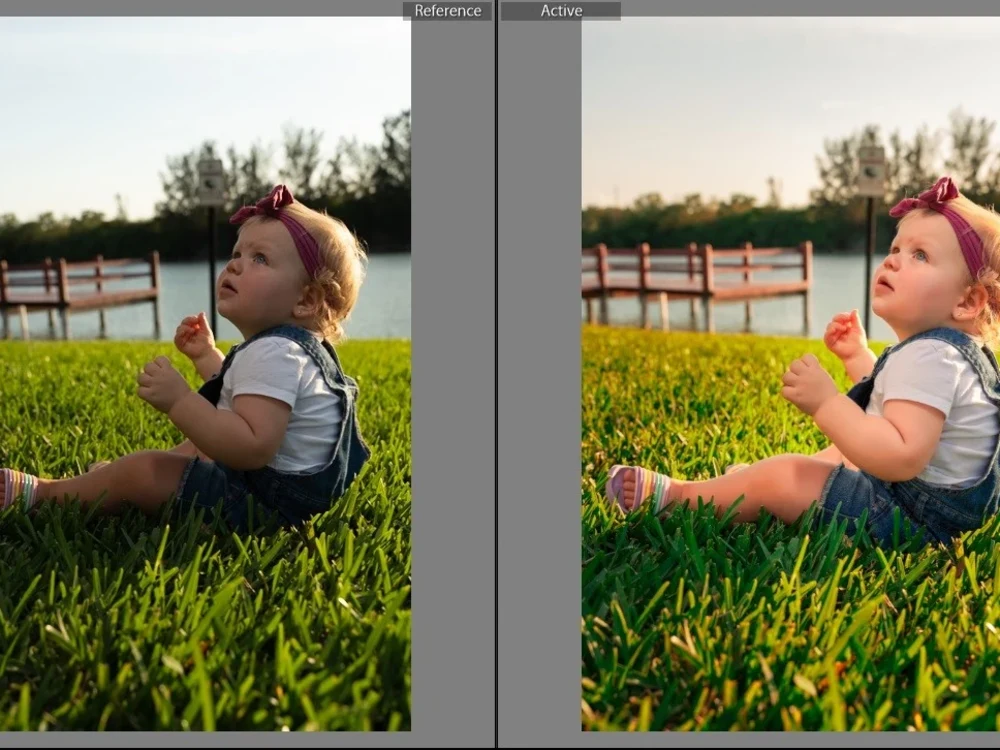 Professional Grade Photo Retouching/Restoration & Manipulation | Upwork