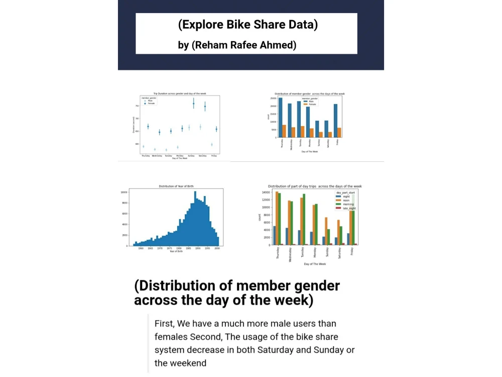 A complete analysis of your dataset with visualizations | Upwork
