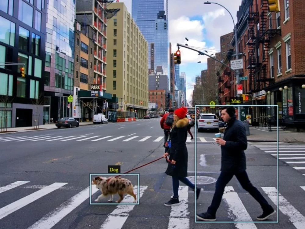 Most accurate manual data annotation upto 1000 images | Upwork