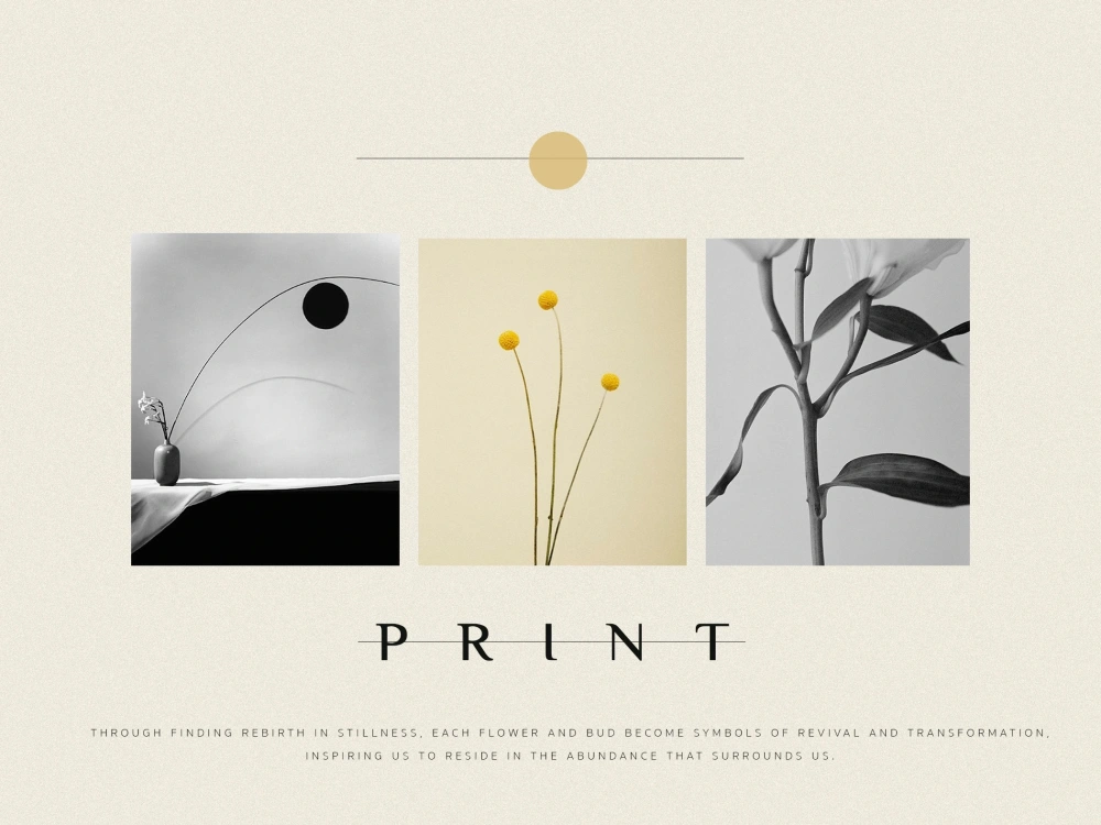 Beautiful textile patterns with colorways | Upwork