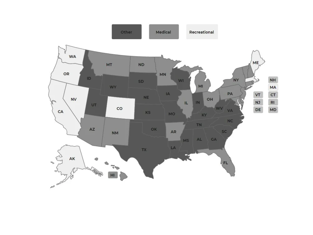 An SVG Interactive Map of USA | Upwork