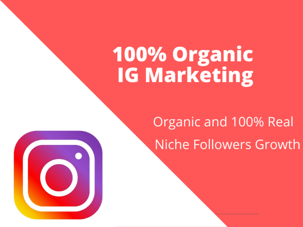 Instagram marketing manager to manage your account | IG Expert | Upwork