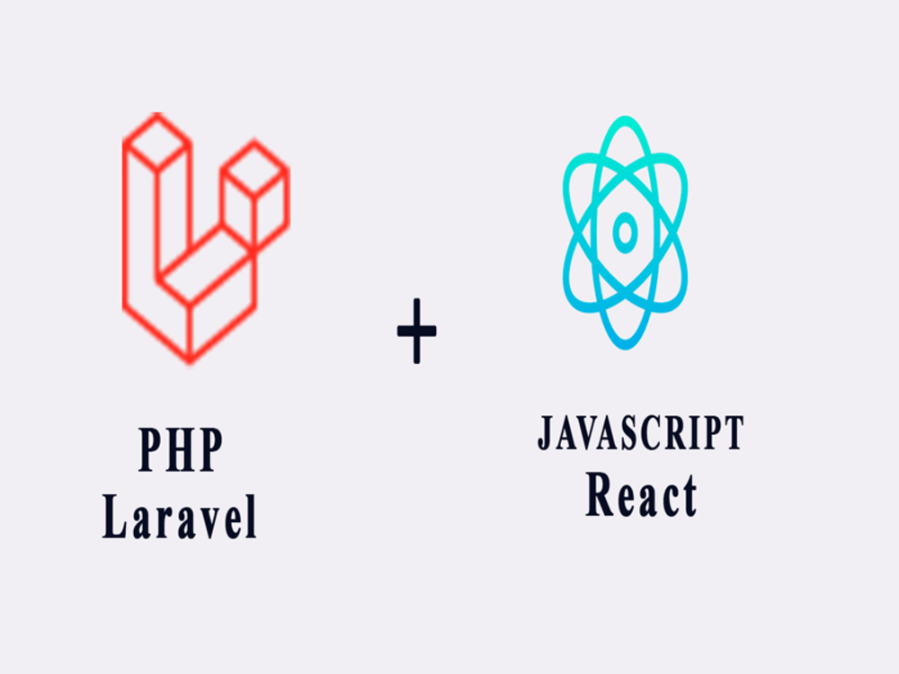 Modern Web Application With Reactjs And Php Laravel In 2 Days Upwork