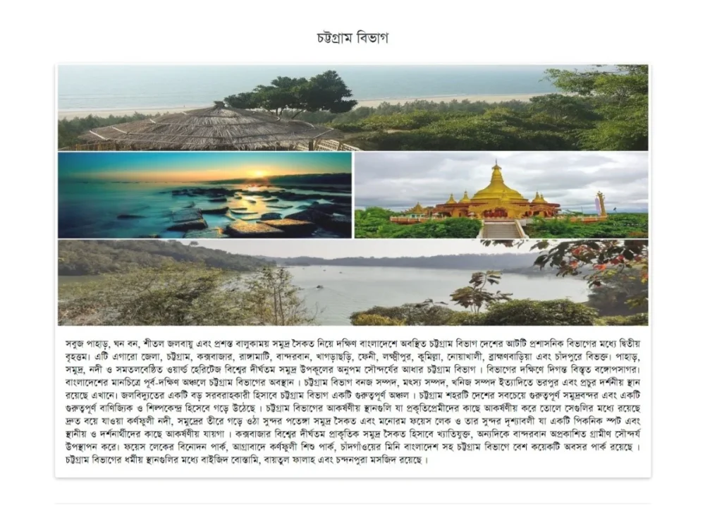 A front end web design using an angular framework | Upwork