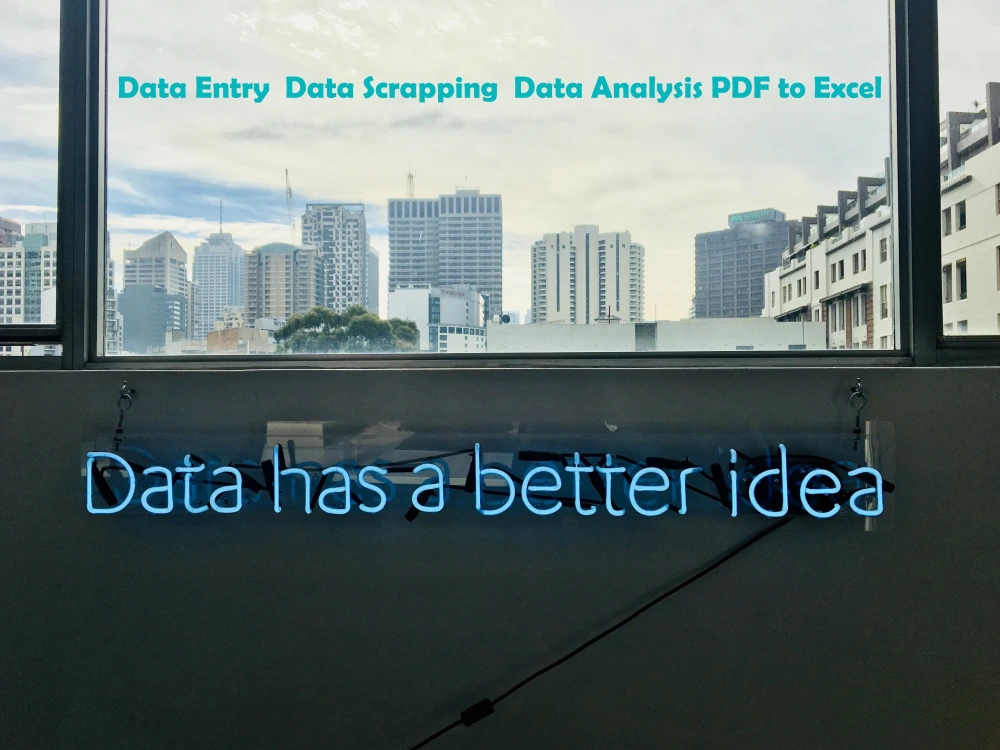 Excel/Microsoft Excel data entry work, data scrapping, data analysis | Upwork