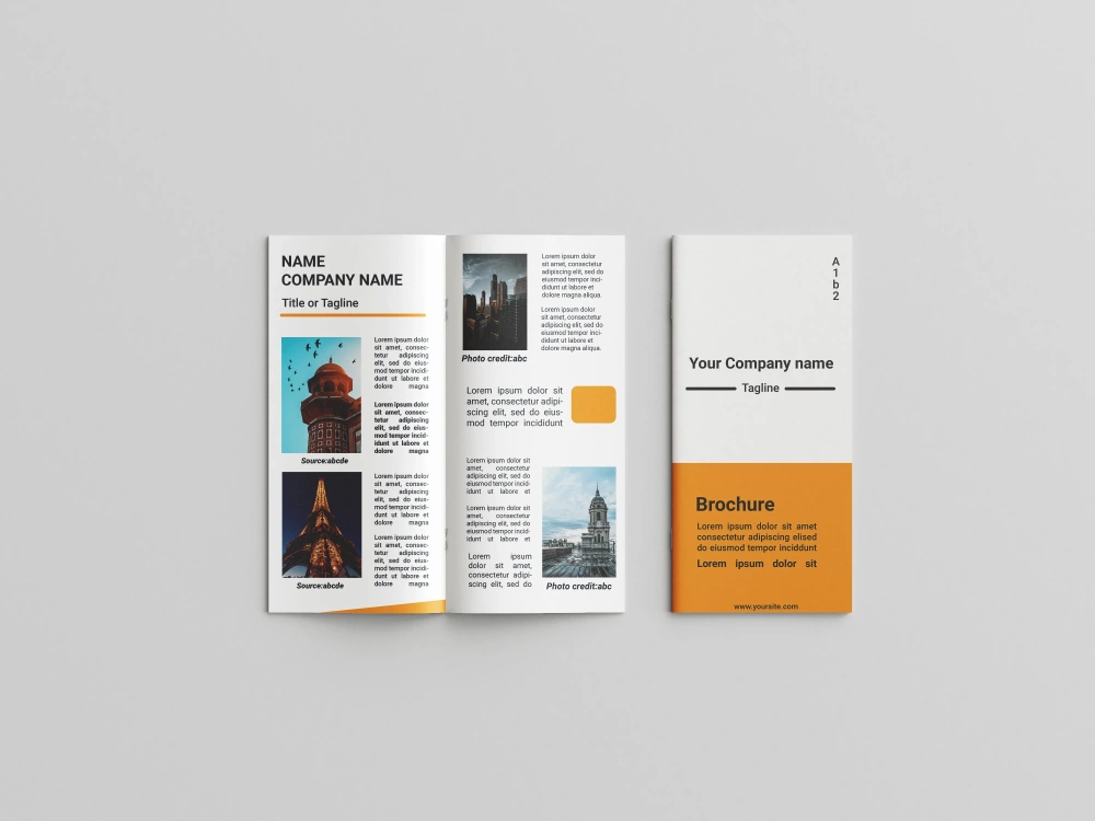 An amazing Bi fold,Tri fold Brochure design | Upwork