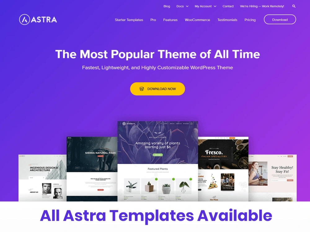WordPress Installation, Theme Setup exactly like Demo | Upwork