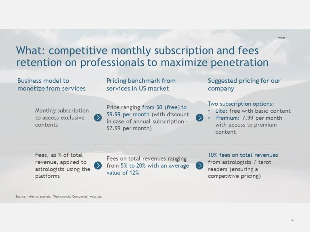 A McKinsey style business plan for your business | Upwork