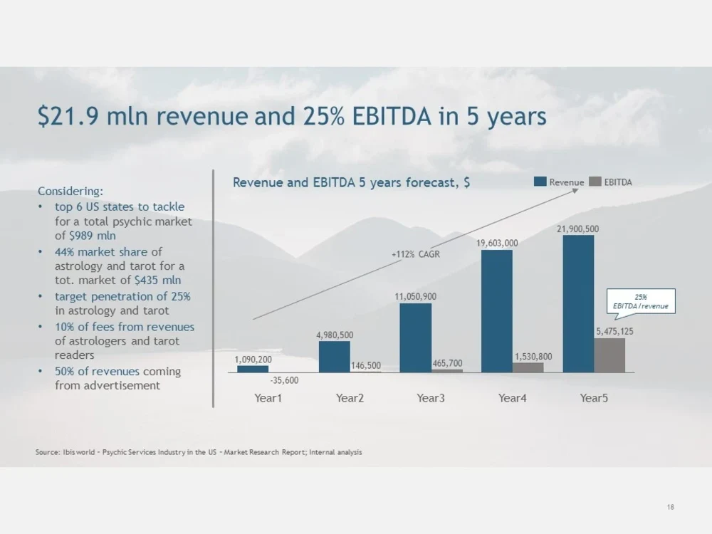 A McKinsey style business plan for your business | Upwork