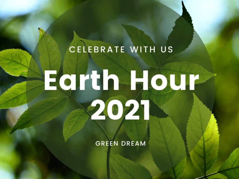 Animated and/or static social media posts and stories for your business ...