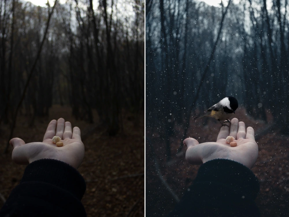 A photoshop edit/manipulation within 24 hours | Upwork