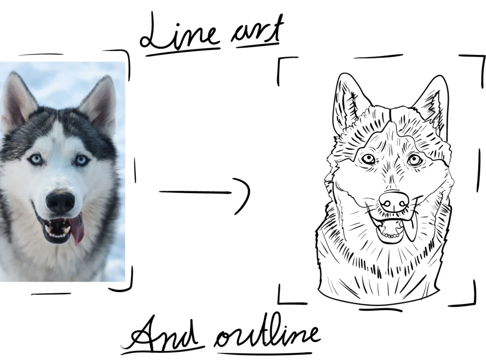 A perfect vector traced image | Upwork