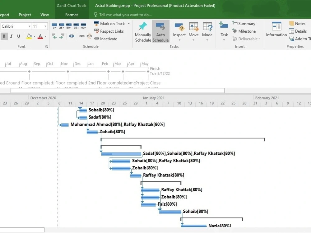 Professional services on Microsoft Project/ P6 Primavera Tasks. | Upwork