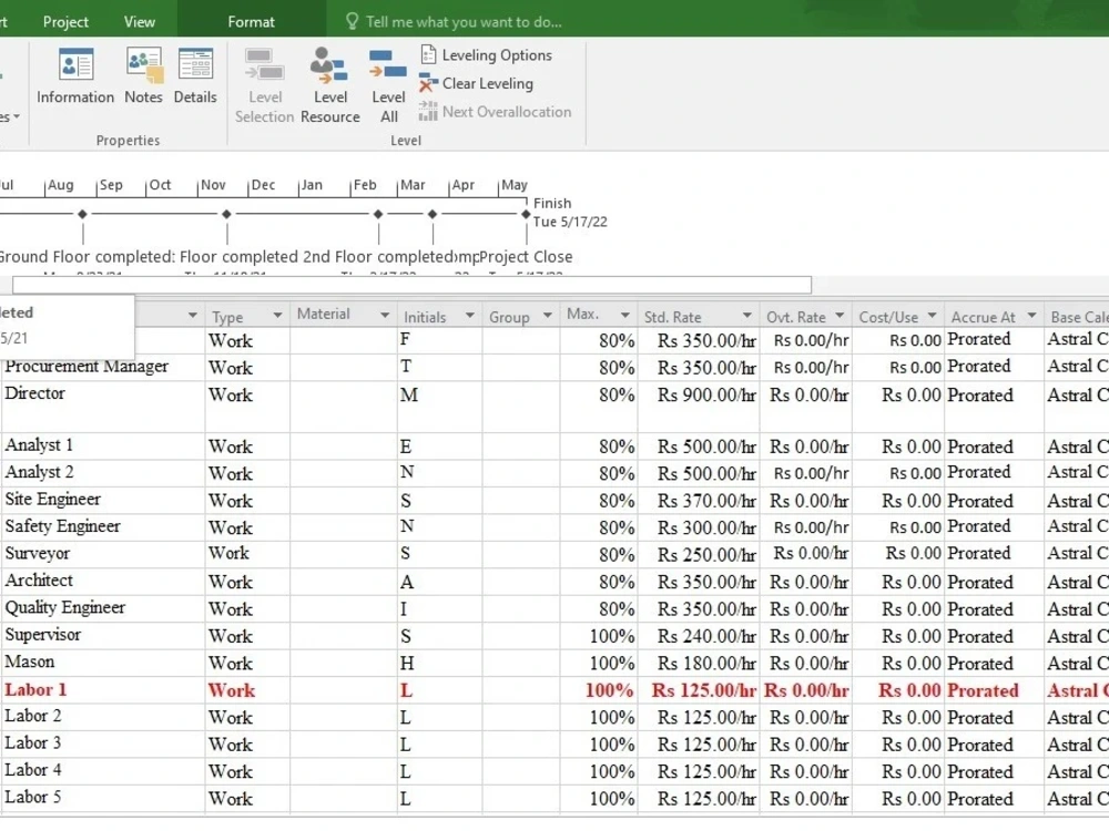 Professional services on Microsoft Project/ P6 Primavera Tasks. | Upwork