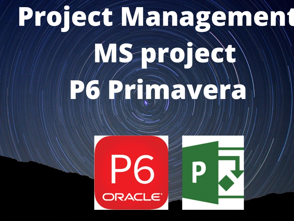 Professional services on Microsoft Project/ P6 Primavera Tasks. | Upwork
