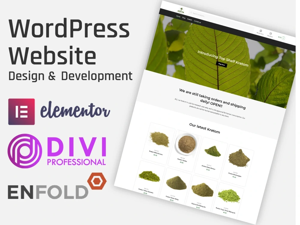 Divi Theme Expert, Elementor / Elementor Pro, Enfold Theme Expert | Upwork