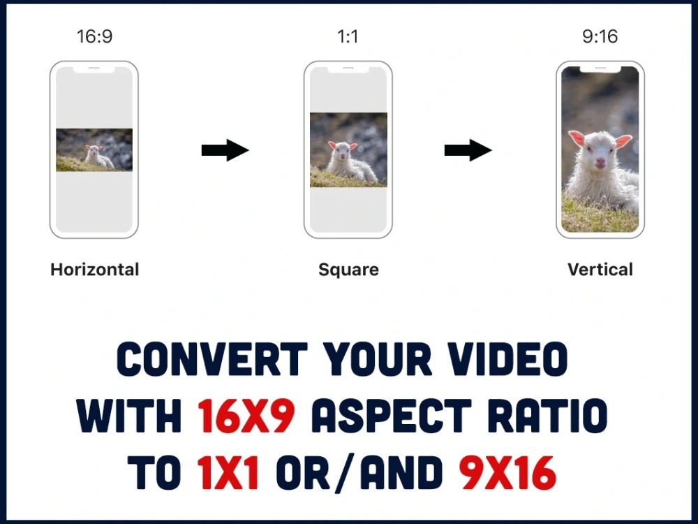 1x1 or 9x16 ratio from your 16x9 horizontal video. | Upwork