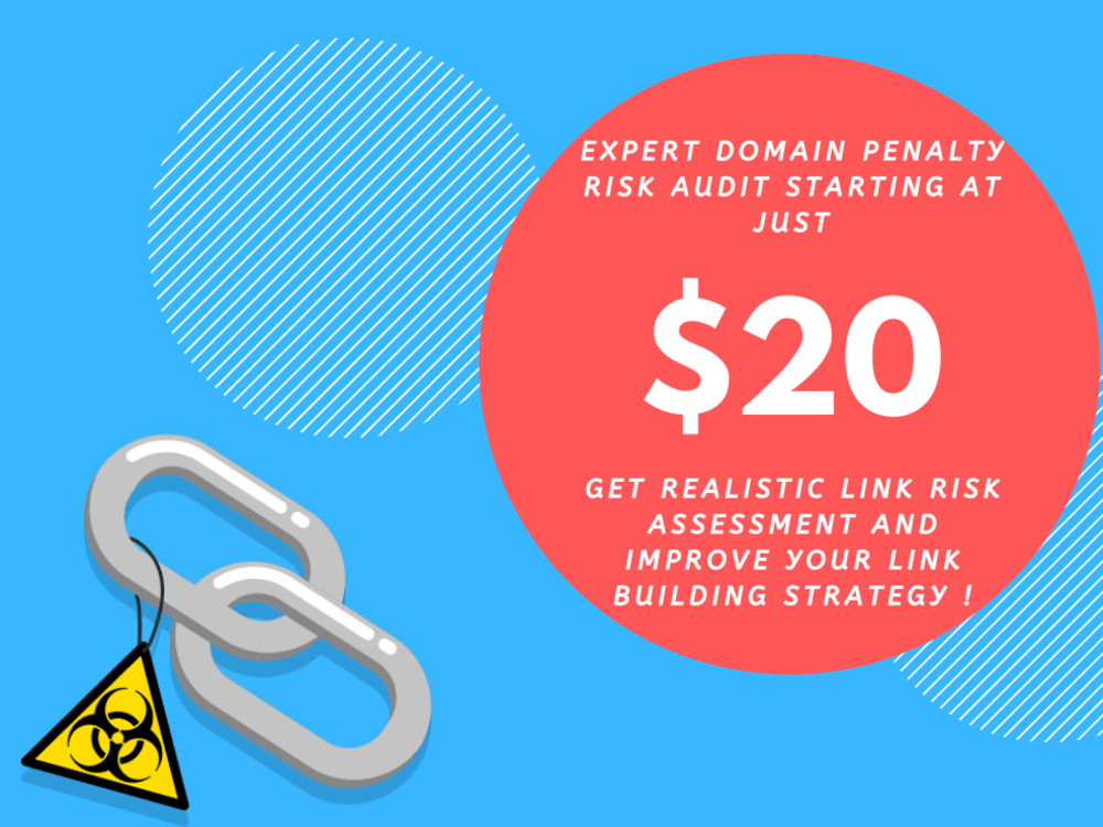 Detailed Link Risk Audit & Disavow File | Upwork