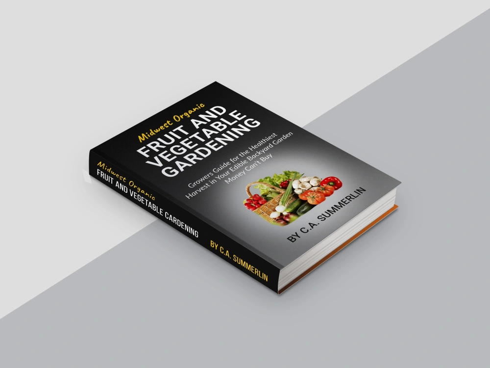 A modern & classy book cover / ebook cover design | Upwork