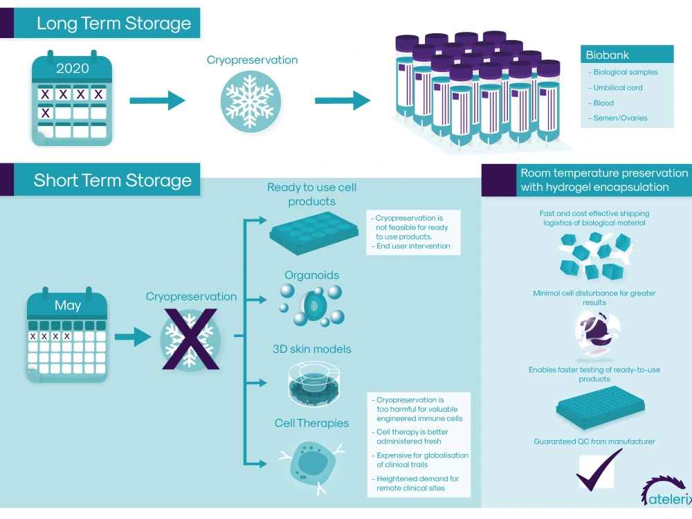 Amazing scientific figures, illustrations and diagrams | Upwork