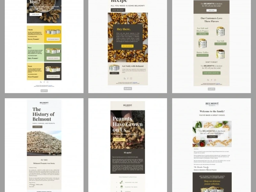 Mailchimp Template Design(Responsive and Editable) | Upwork