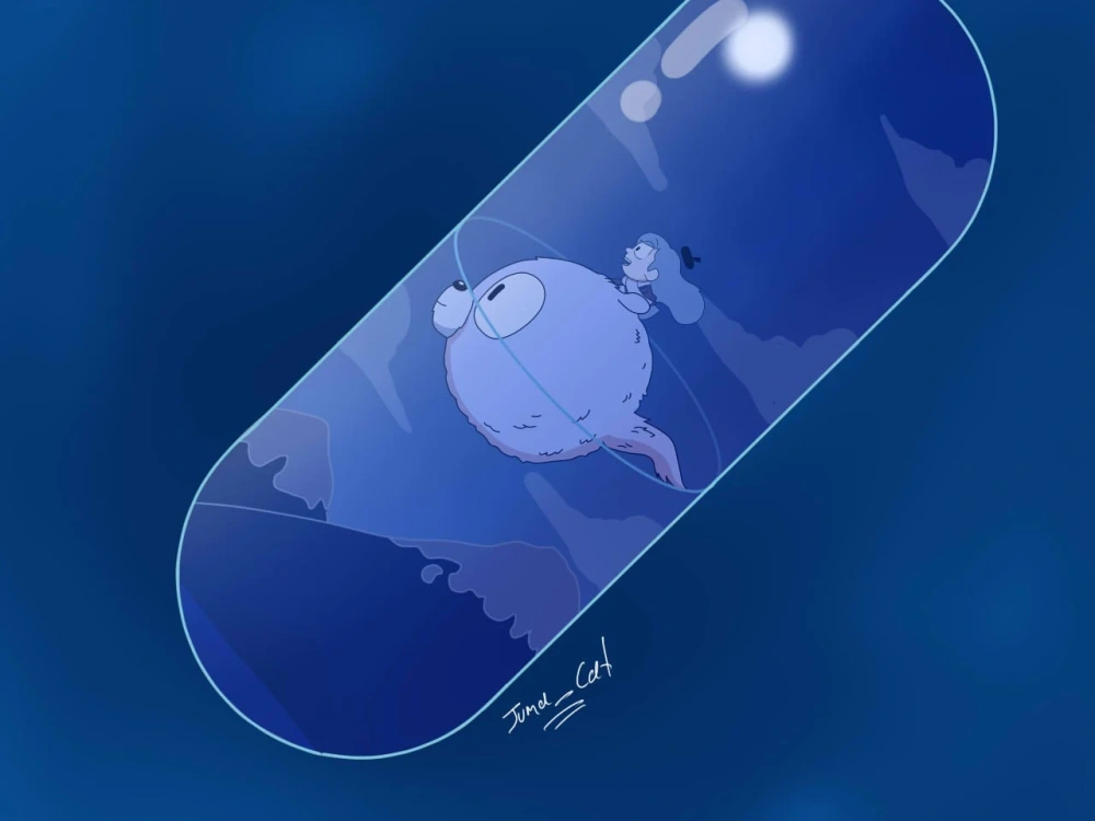 A fantastic capsule designs | Upwork