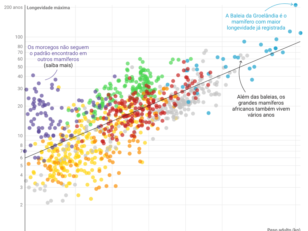 A professional data visualization for your data - ggplot2 - R | Upwork
