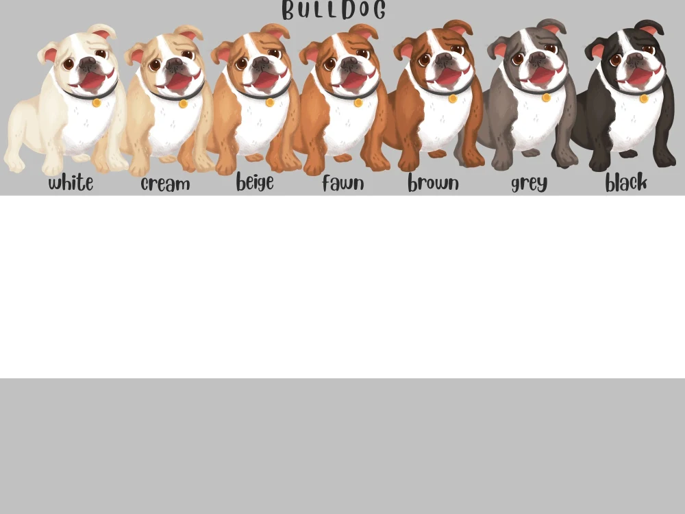 Custom Funny Dog Portrait - High Res | Upwork