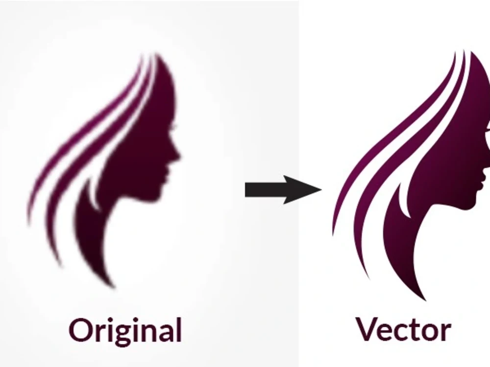 Professional vector tracing within 2 hours | Upwork