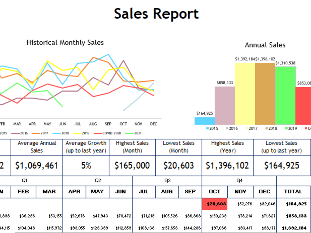 A sharp and effective business report on Excel or Google Sheet | Upwork