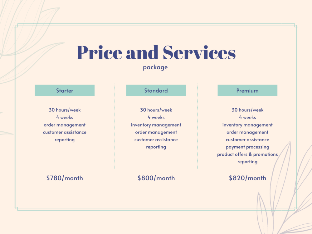 A Customer Service Representative for Email and Chat for your Shopify ...