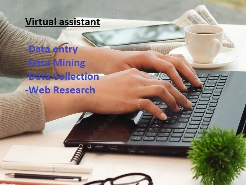 Data Entry, Data Mining, Data Collection & web research | Upwork