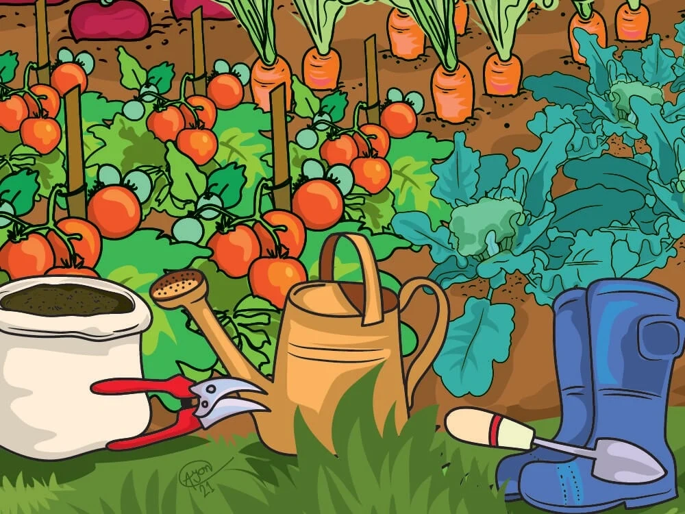 A beautiful book illustration | Upwork