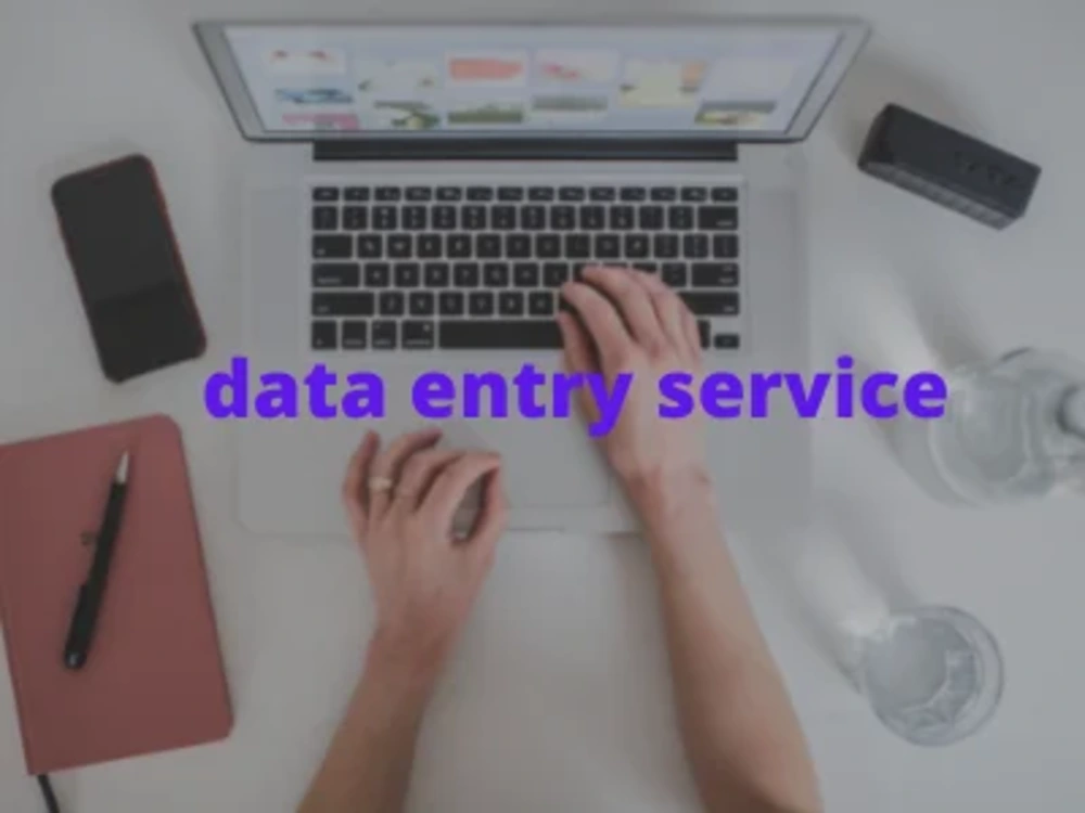 Professional expert data entry service | Upwork
