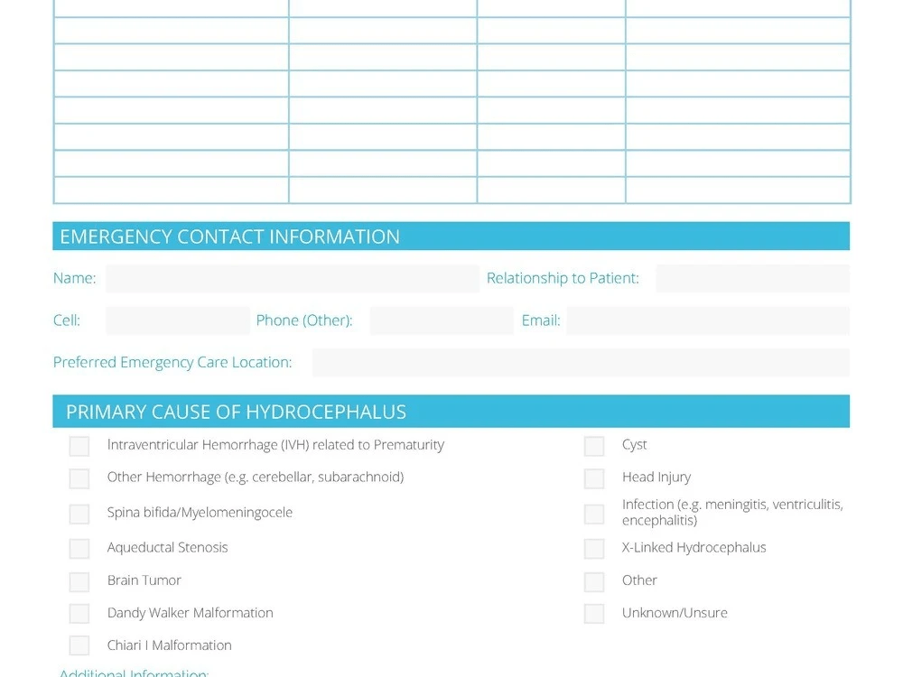 Interactive PDF, Fillable PDF Form, Edit PDF, Dynamic PDF Fillable Form. | Upwork