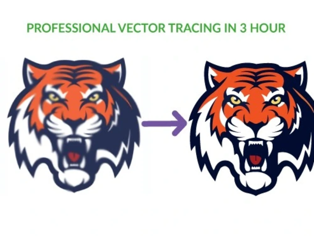 Image, logo vector tracing in 3 hours | Upwork
