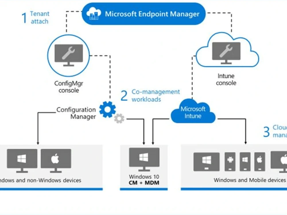Deployment PoC of Endpoint Manager(Intune) + Microsoft Defender | Upwork