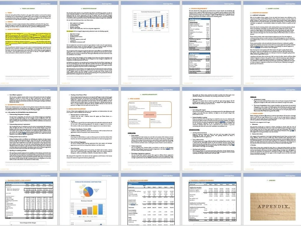 Non Profit Business Plan and Financial Projections | Upwork