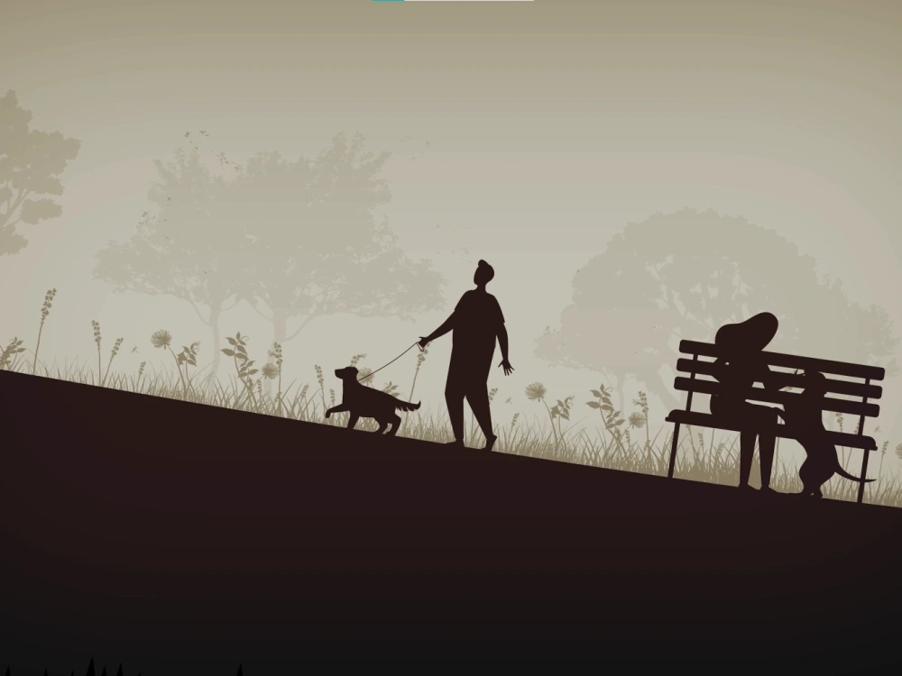 A Professional 2D animation for your business | Upwork