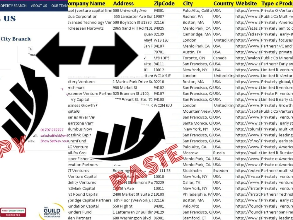 Complete Copy And Paste Work On Excel And Google Sheets | Upwork