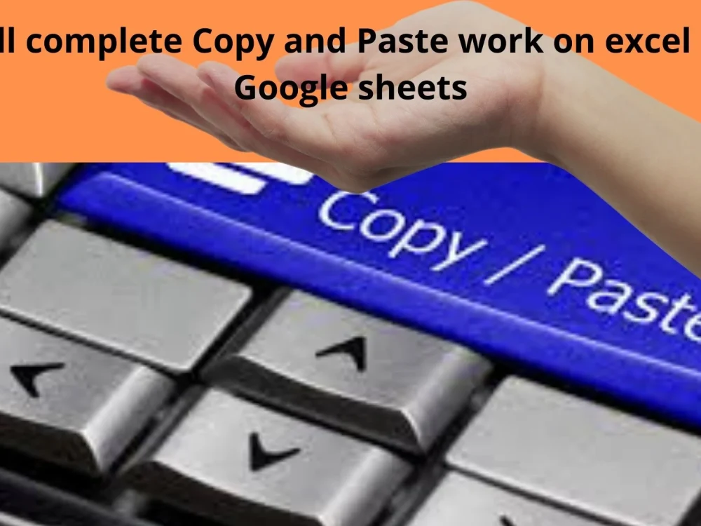 Complete Copy And Paste Work On Excel And Google Sheets | Upwork