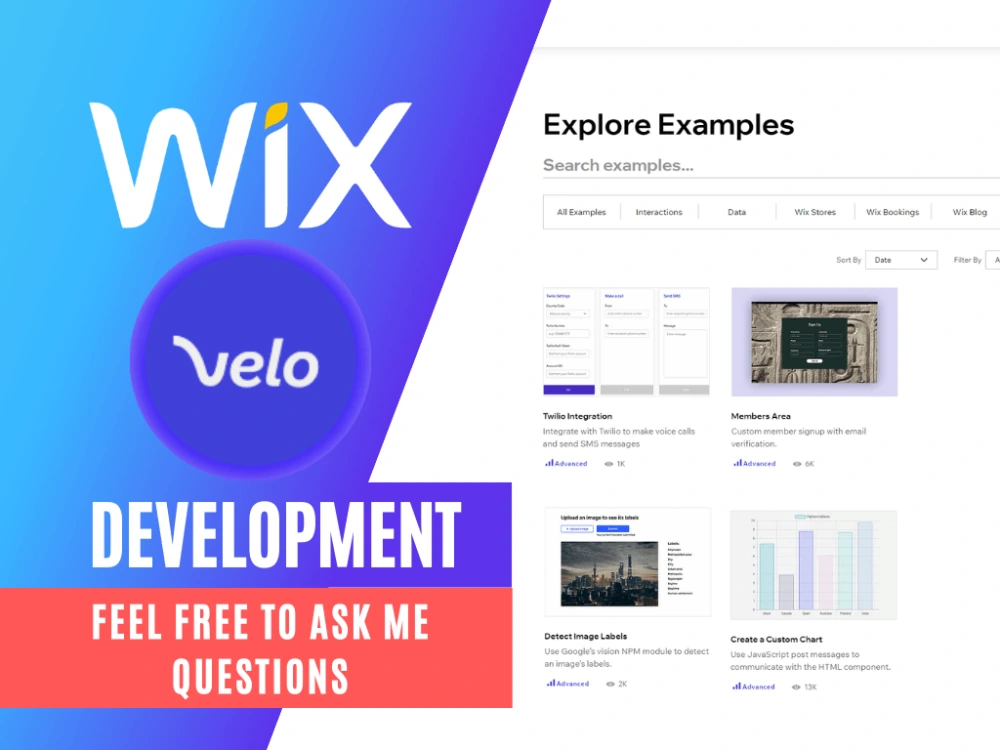 I will help you as an expert Wix Velo developer | Upwork
