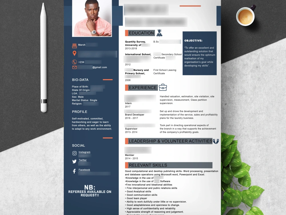 A professional Resume design | Upwork