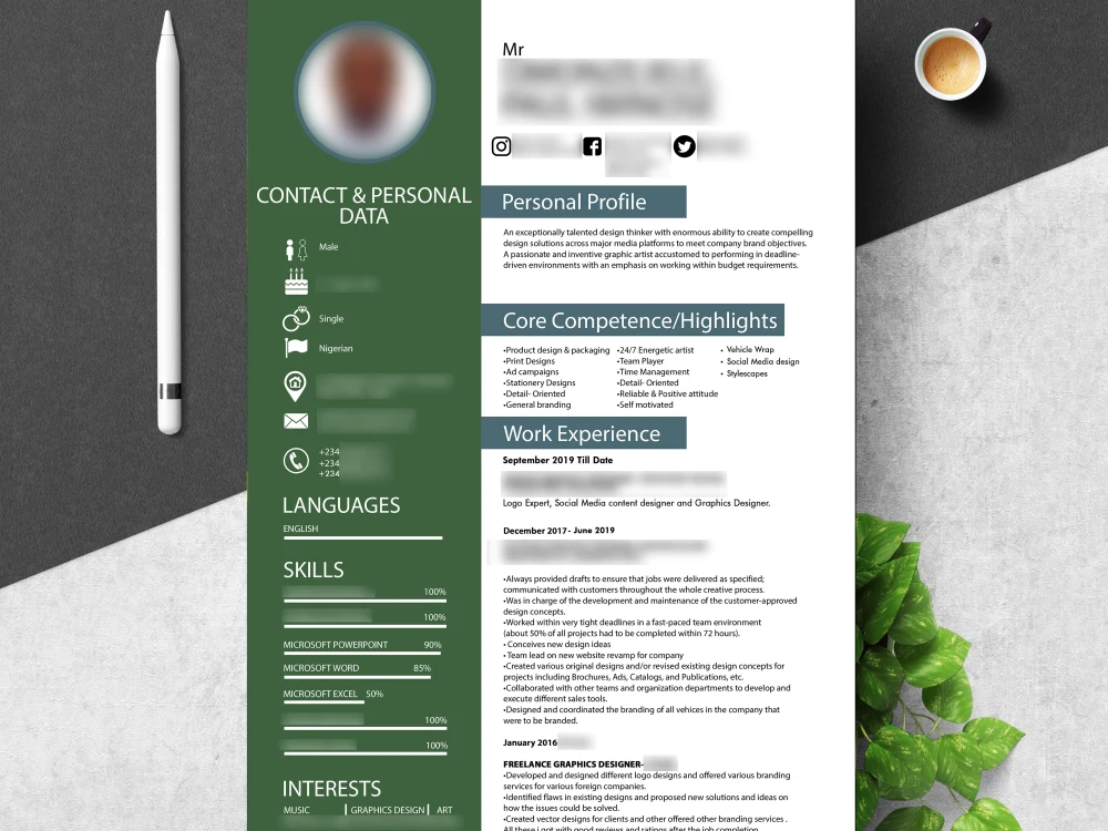 A professional Resume design | Upwork