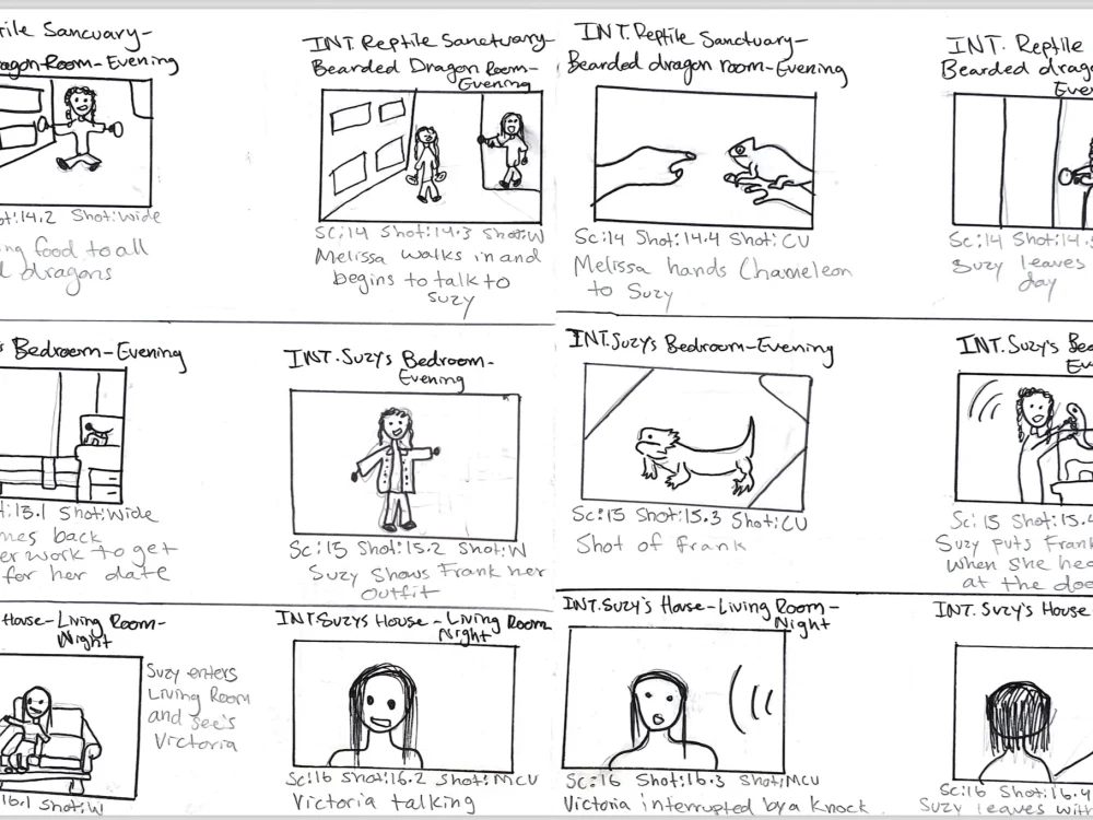 A detailed storyboard for your film project | Upwork