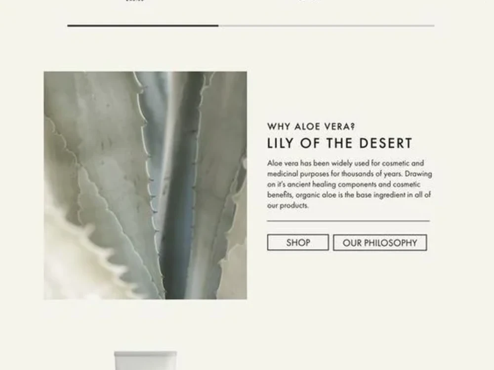 Your dream website design | Upwork