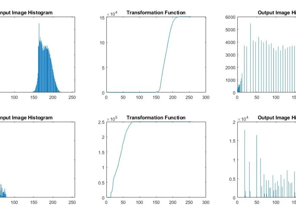 Image processing solutions both in python and MATLAB | Upwork
