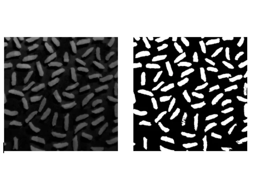 Image processing solutions both in python and MATLAB | Upwork